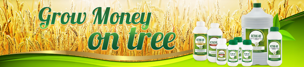 All about Modicare Products